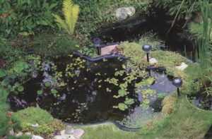 44 Breathtaking Decorative Ponds You Have to See - Decopaedia